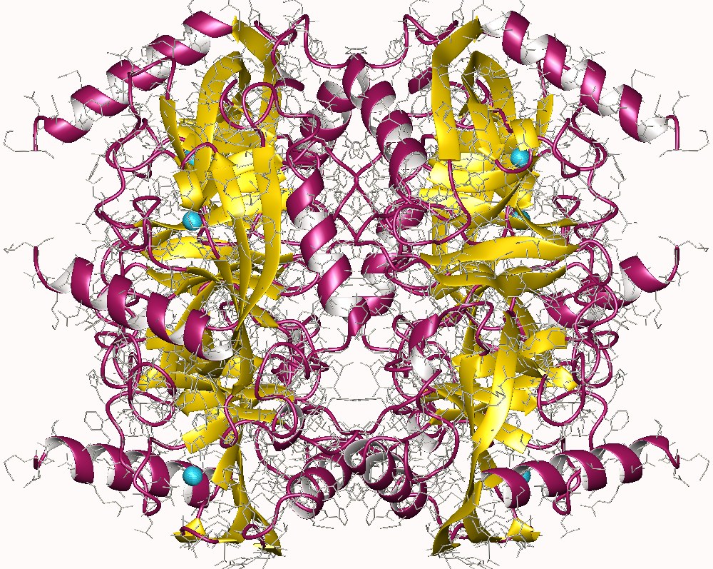 Pyrophosphatase Inorganic (yeast) | Axis Shield Density Gradient Media