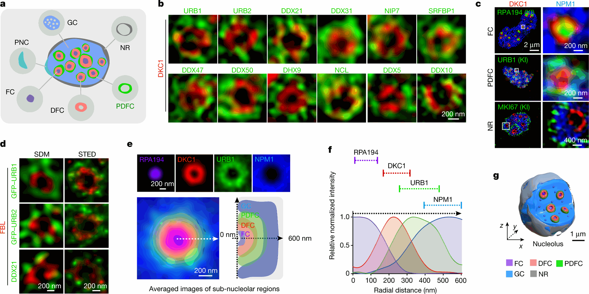 NGS Library Prep | Axis Shield Density Gradient Media