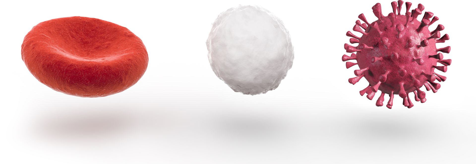 Brochures and leaflets | Axis Shield Density Gradient Media