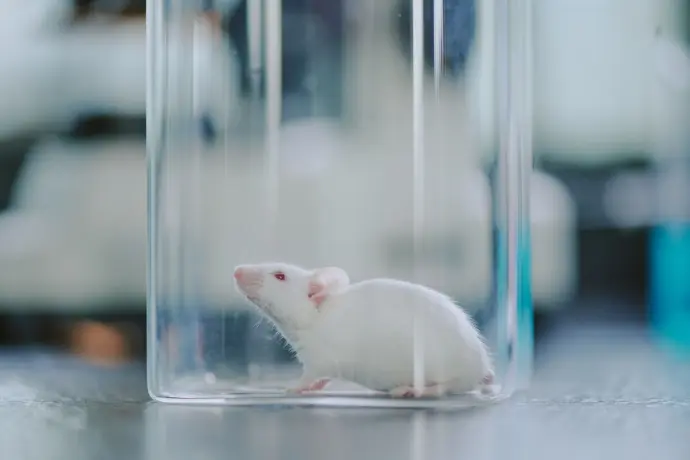 Mastering the Science of Genetically Modified Mice: Principles ...
